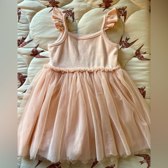 Jamie Kay | Dresses | Jamie Kay Peach Ruffle Sleeve Tulle Dress | Poshmark